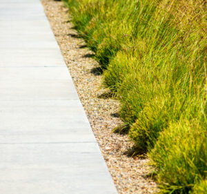 The Vision - FOX | FUTURE