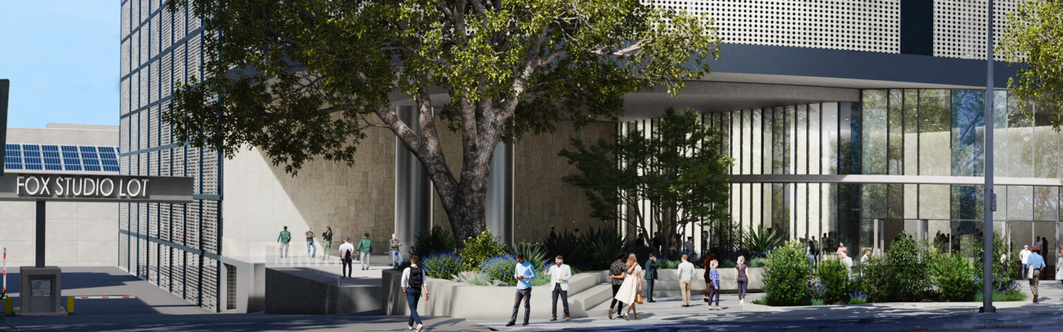 City Process - FOX | FUTURE